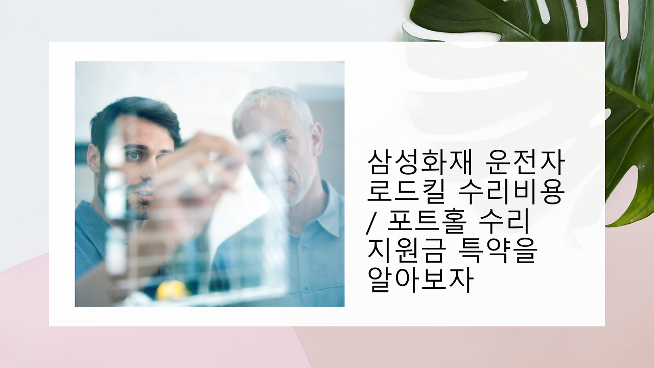 삼성화재 운전자 로드킬 수리비용 포트홀 수리 지원금 특약을 알아보자
