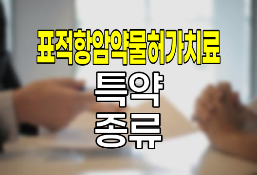 현대해상 표적항암약물허가치료 특약의 종류와 특징 메모리유