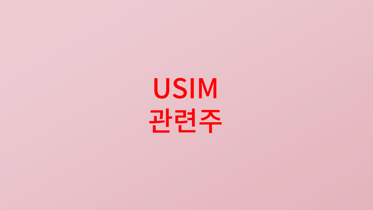 유심 관련주 해킹사고로 SKT USIM 교체 수혜주