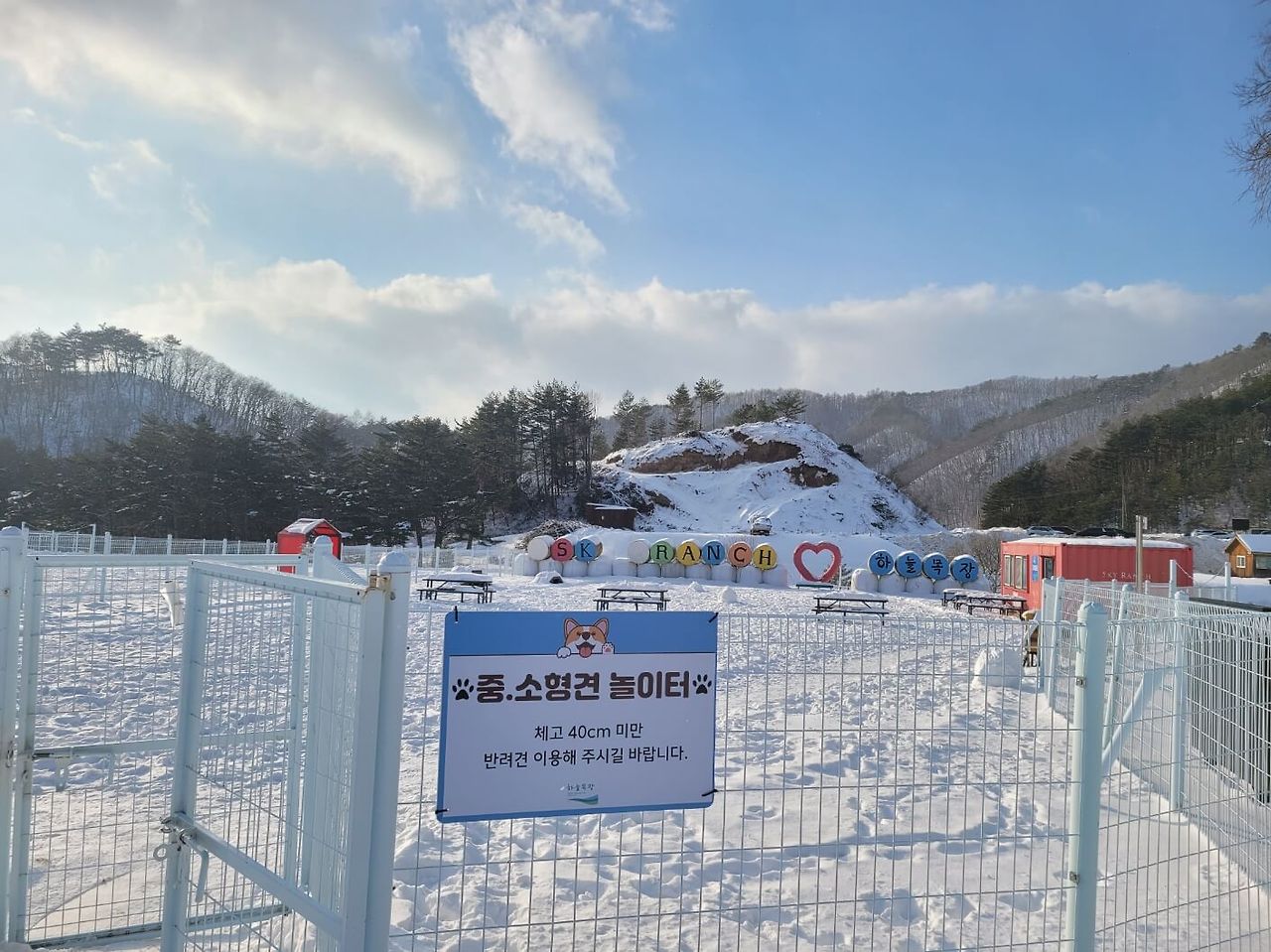 강원도 겨울여행지 설경 명소 대관령 하늘목장 반려견 동반