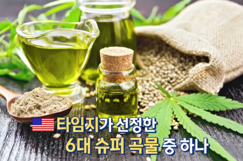 콜레스테롤 중성지방 낮추는 식물성대마종자유 효능 및 부작용대마유 대마씨유
