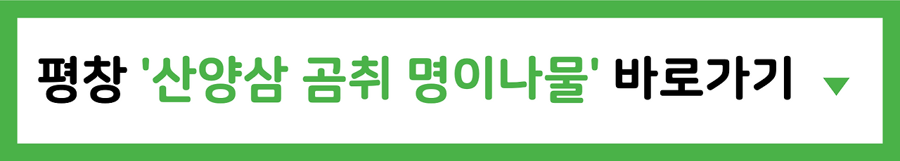 6시내고향 5월 8일 월요일 촬영장소