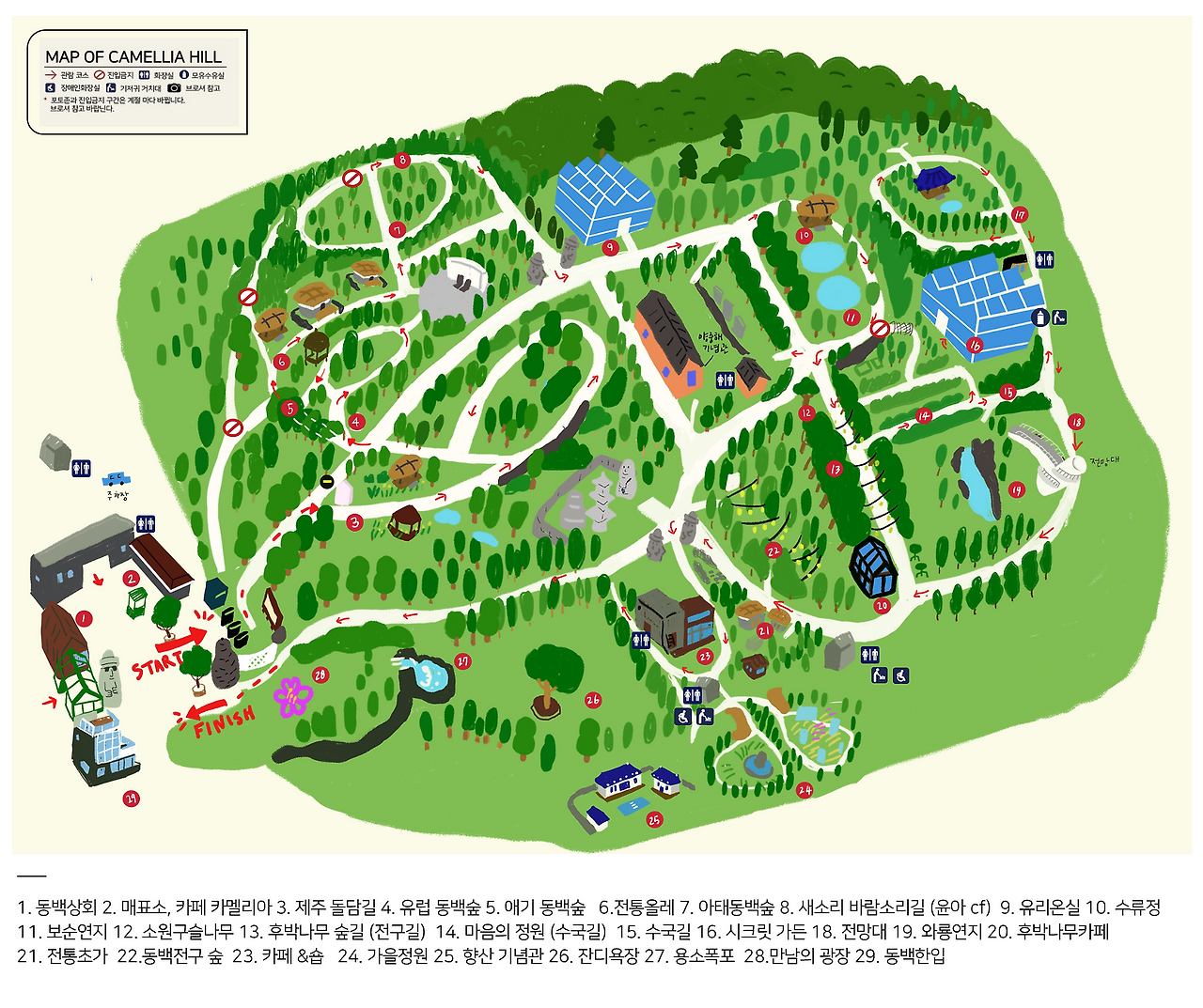 제주 카멜리아 힐camellia Hill 동양에서 가장 큰 동백 수목원