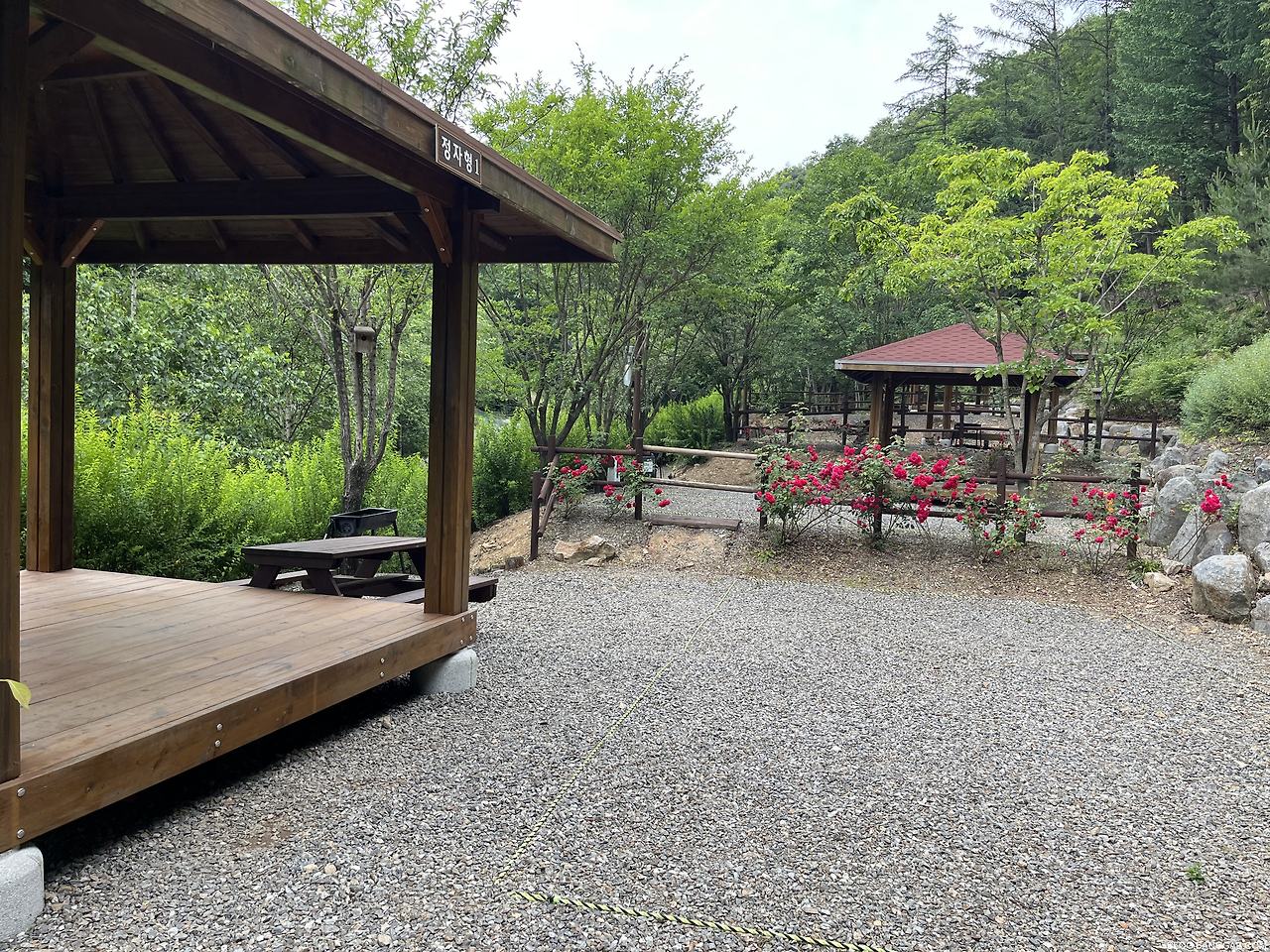 충북 진천군 생거진천자연휴양림 연립형 캠핑장 리뷰