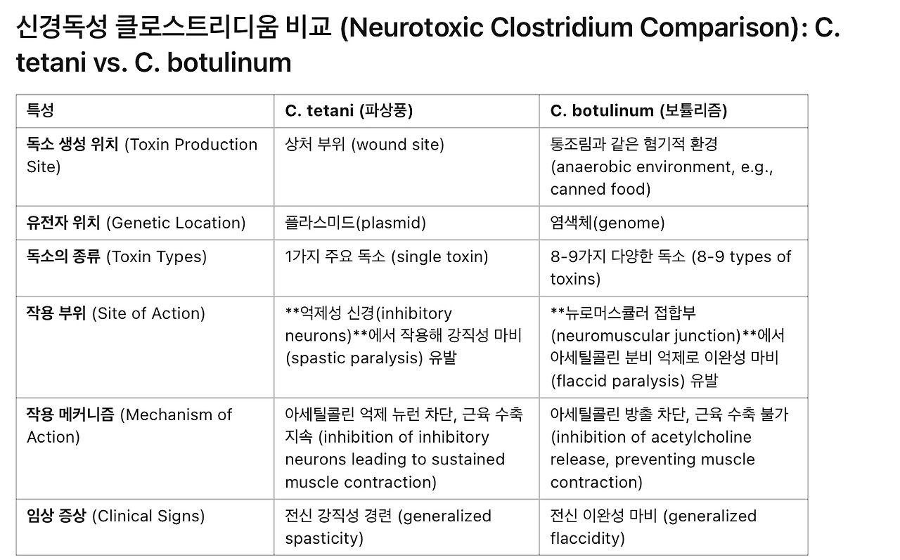 클로스트리듐clostridium 속의 일반적인 특성과 주요 병원성 종 파상풍 보튤리즘