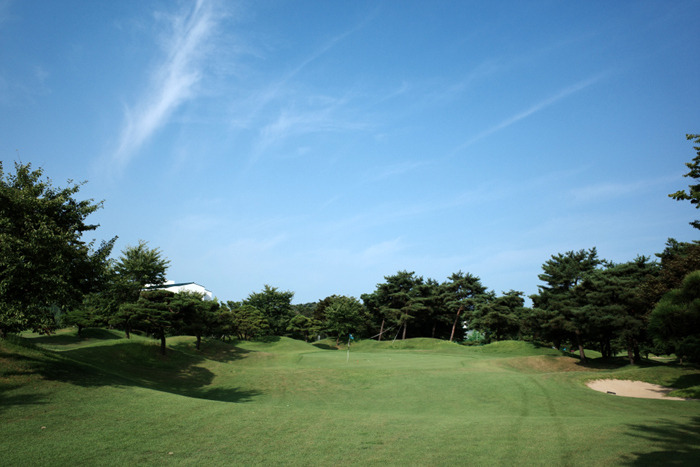 경기도 안산 제일cc 파3 골프장 라운딩 후기