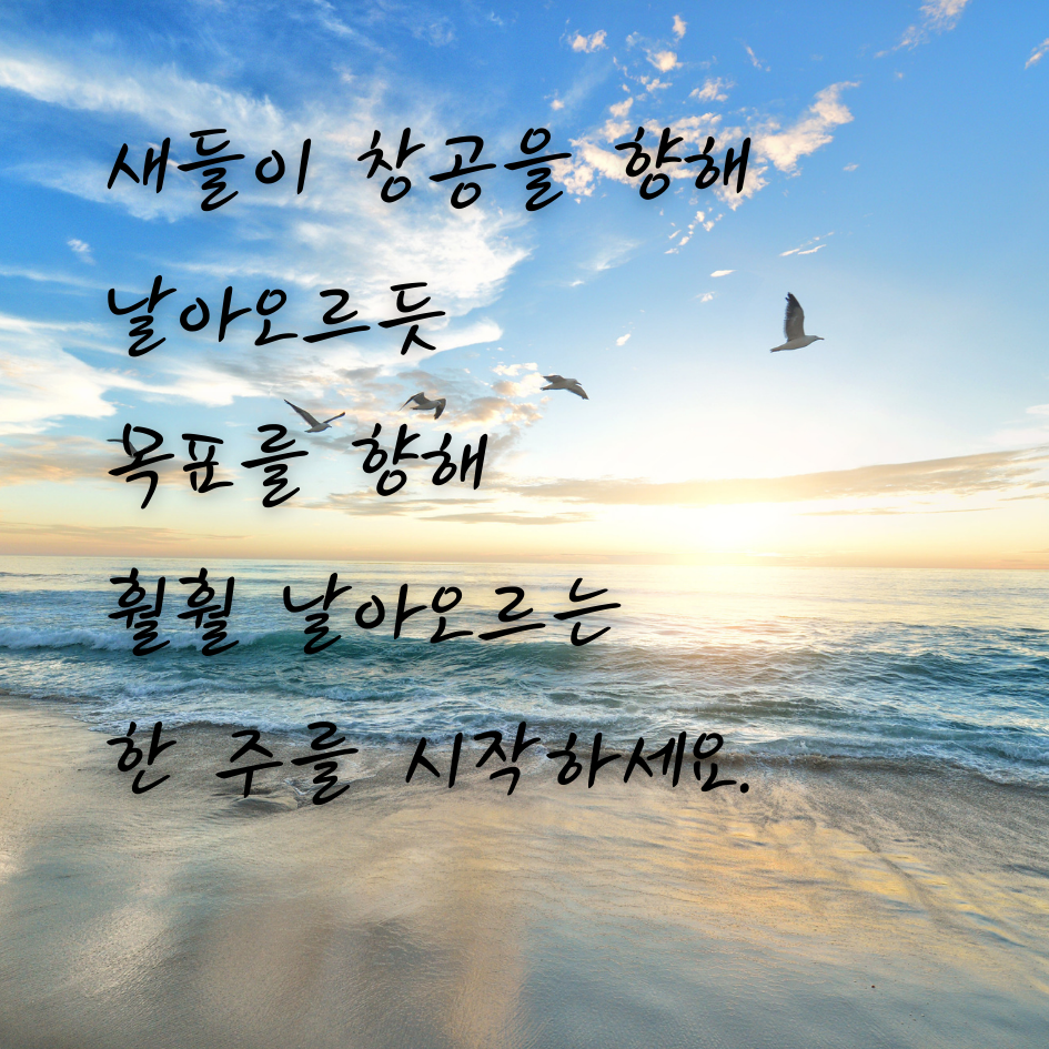 월요일 아침 인사말 이미지 문구 모음