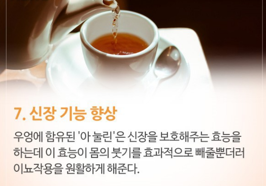 우엉차 효능 부작용