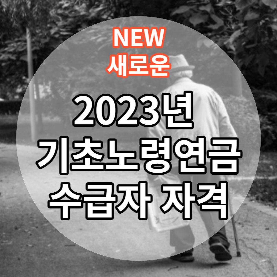 기초노령연금 수급자격 2023년 New 정보 생활정보 정부지원금 안내