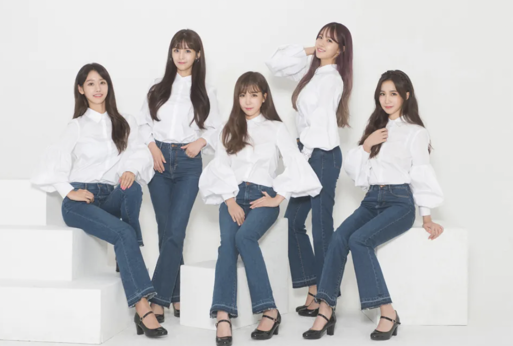 초아크레용팝 나이 쌍둥이 동생 프로필 남편 누구 자궁경부암 진단 근황