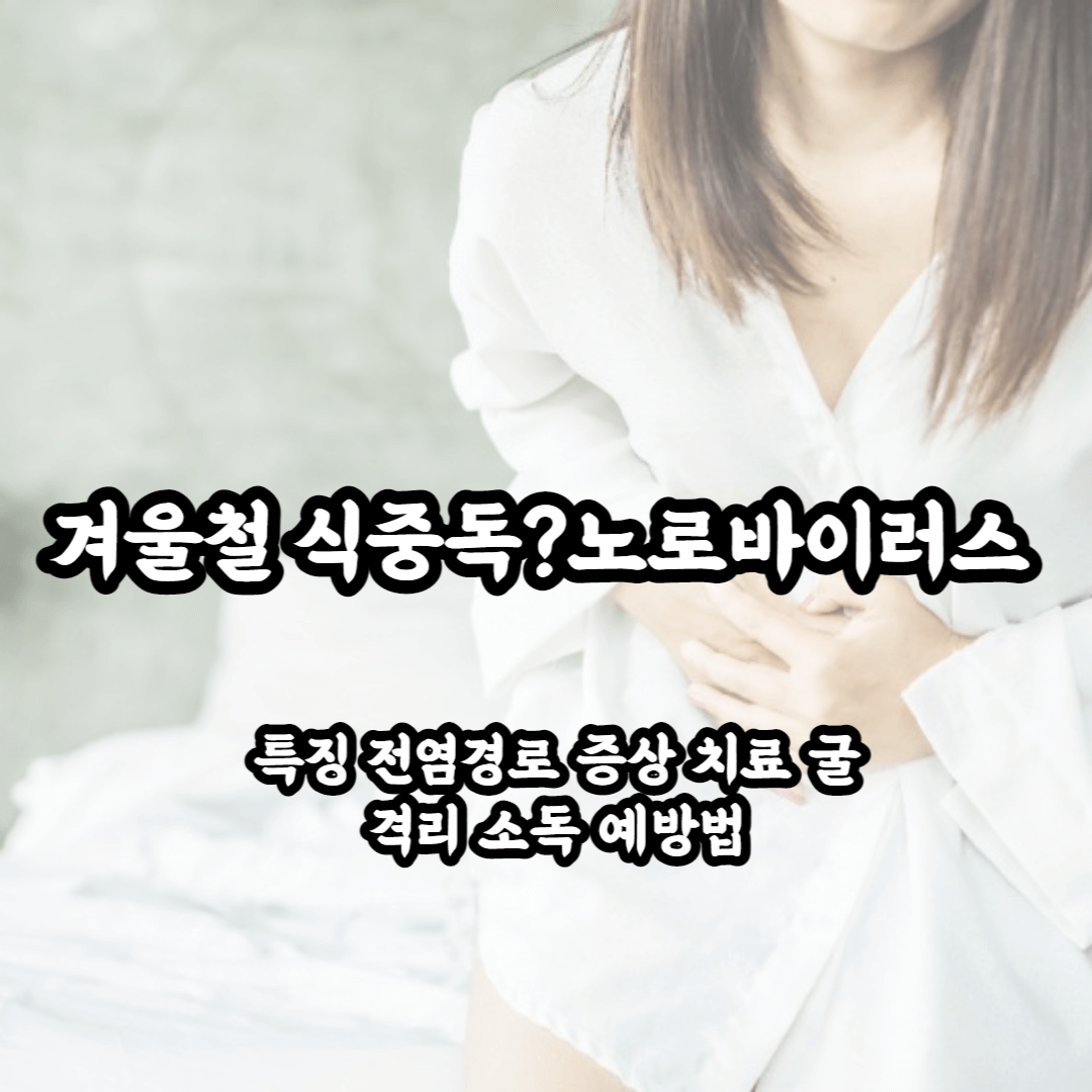 겨울철 식중독 노로바이러스의 특징과 전염경로 증상 굴 격리 진단 치료까지 한번에 알아보자