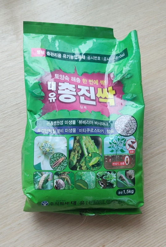 진절머리나는 작은뿌리파리 박멸해보자