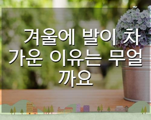 겨울에 발이 차가운 이유는 무얼까요