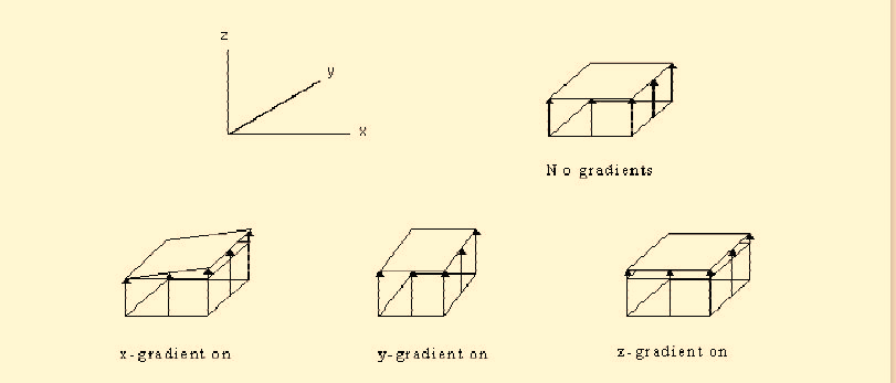 X, Y, Z Gradient coil의 작용과 변화