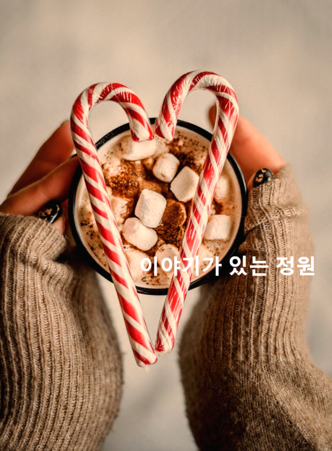 인간의 성장과 발달①발달 심리학 태아기 배포기 배아기 태내 발달에 영향을 미치는 요인 각종 증후군