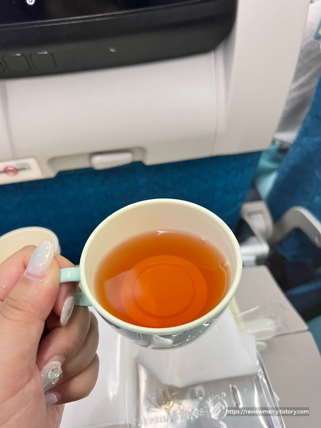 김해↔호치민 직항 노선 베트남항공 이코노미 좌석 이용 후기 및 정보