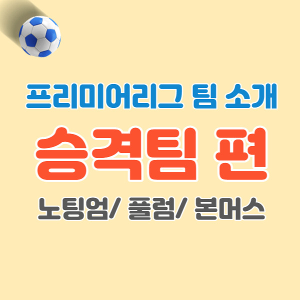 Epl 프리미어리그 팀 소개 202223 승격팀 편 성적 역사 우승 기록
