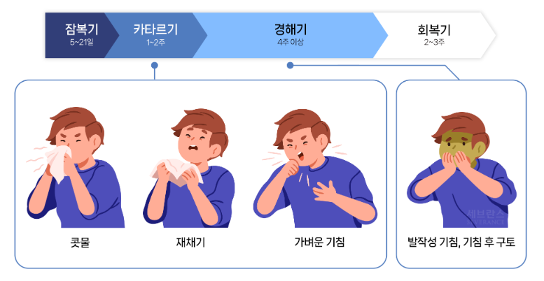 백일해 증상 및 검사 성인 예방접종 비용 자연치료 방법은