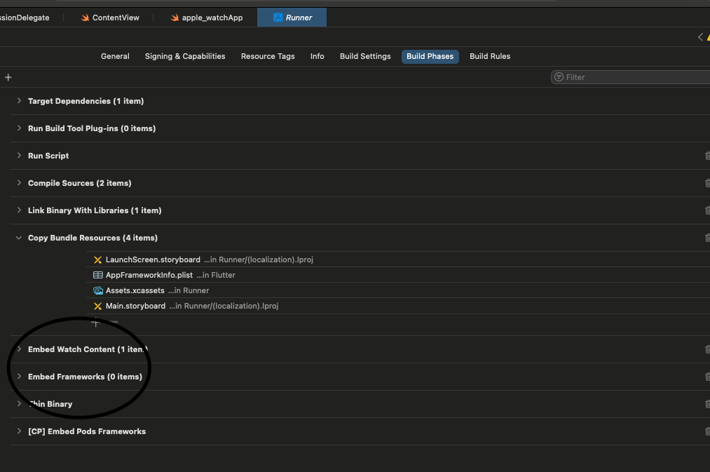 [Flutter]xcode Error Log - Cycle inside Runner; building could produce ...