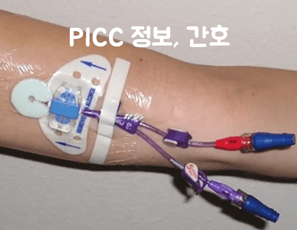 PICC (Peripherally Inserted Central Catheter) 정보, 간호