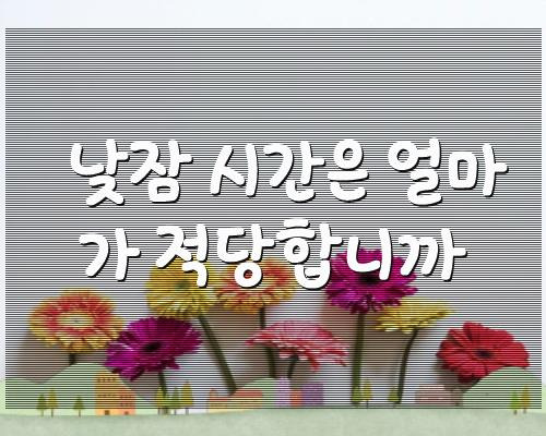낮잠 시간은 얼마가 적당합니까