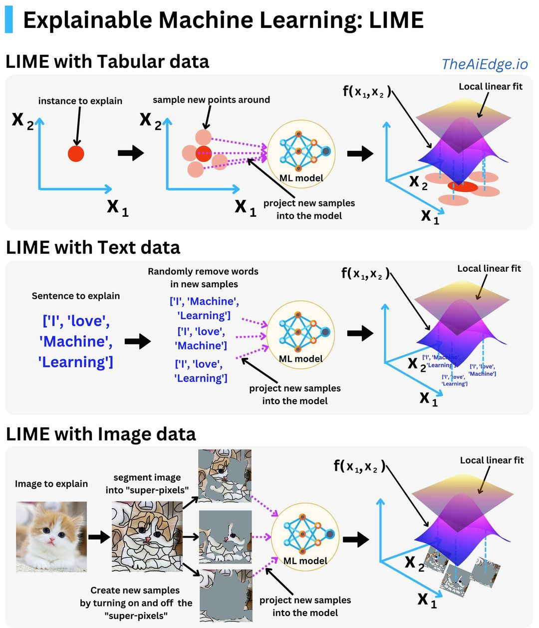 Explainable Machine Learning:LIME