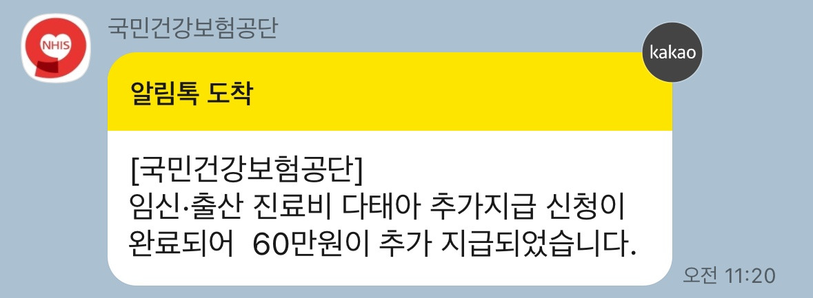 다태아 임신·출산 진료비 지원금 추가신청 방법 쌍둥이 임신 지원금
