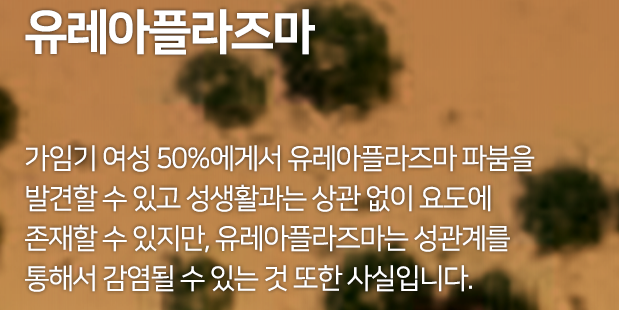유레아플라즈마 파붐 원인 및 증상 5가지