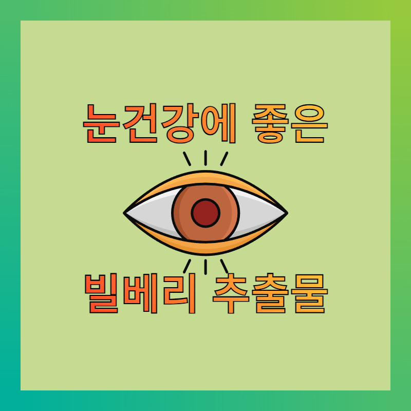 빌베리추출물 빌베리 눈건강 안토시아닌 블루베리 안토시아노사이드 루테인