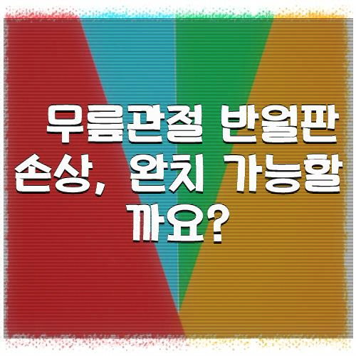 무릎관절 반월판 손상 완치 가능할까요
