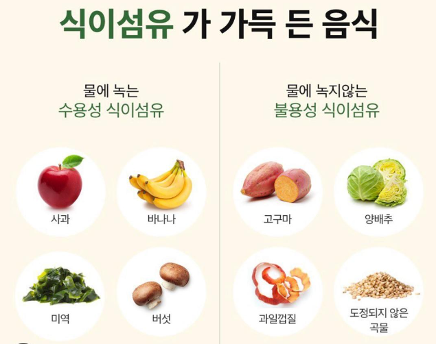 식이섬유가 많은 음식
