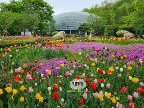 성남 가볼만한곳 베스트 10분당 판교