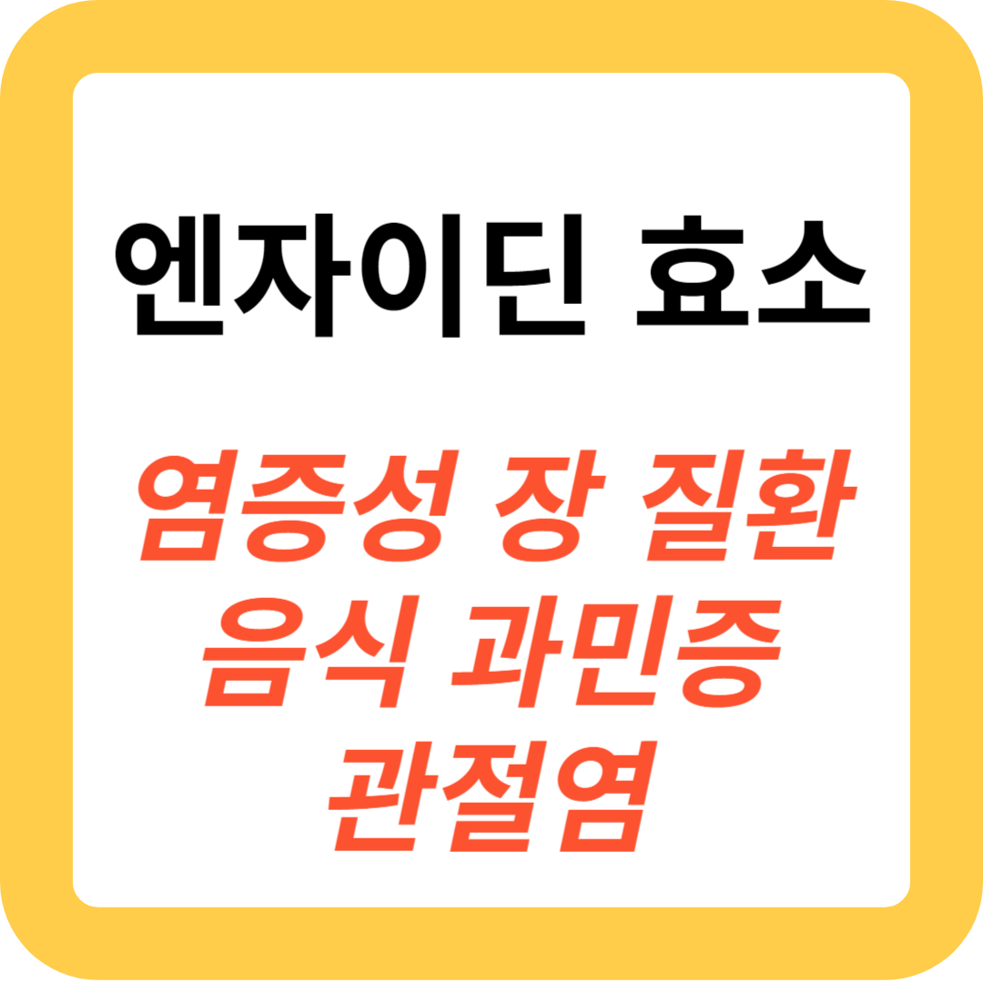 소화장애와 염증에 좋은 엔자이딘 효소 과민성 대장 증후군 관절염 염증성 장 질환