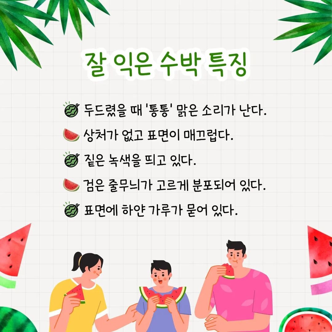 웹툰 콜라보 폰트, Rix X 수박양