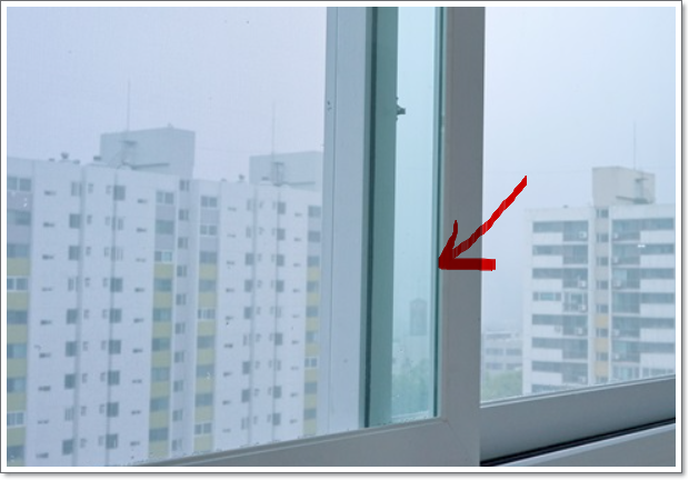 바퀴벌레 세스코 가정집 비용 내돈내산 이용 후기│20평 30평 아파트 면적별 세스코 가격 정보