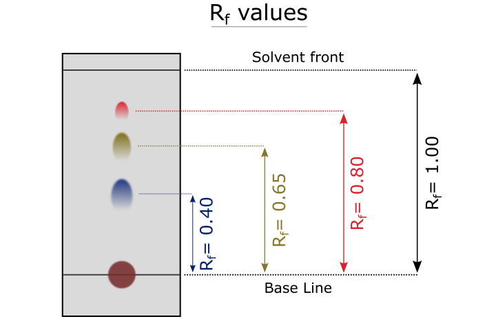 박층크로마토그래프법thin Layer Chromatography
