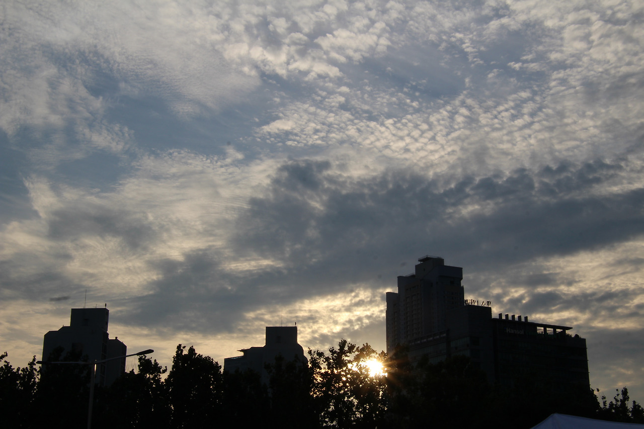 20230826 안양 평촌 중앙공원에서 하늘을 보다