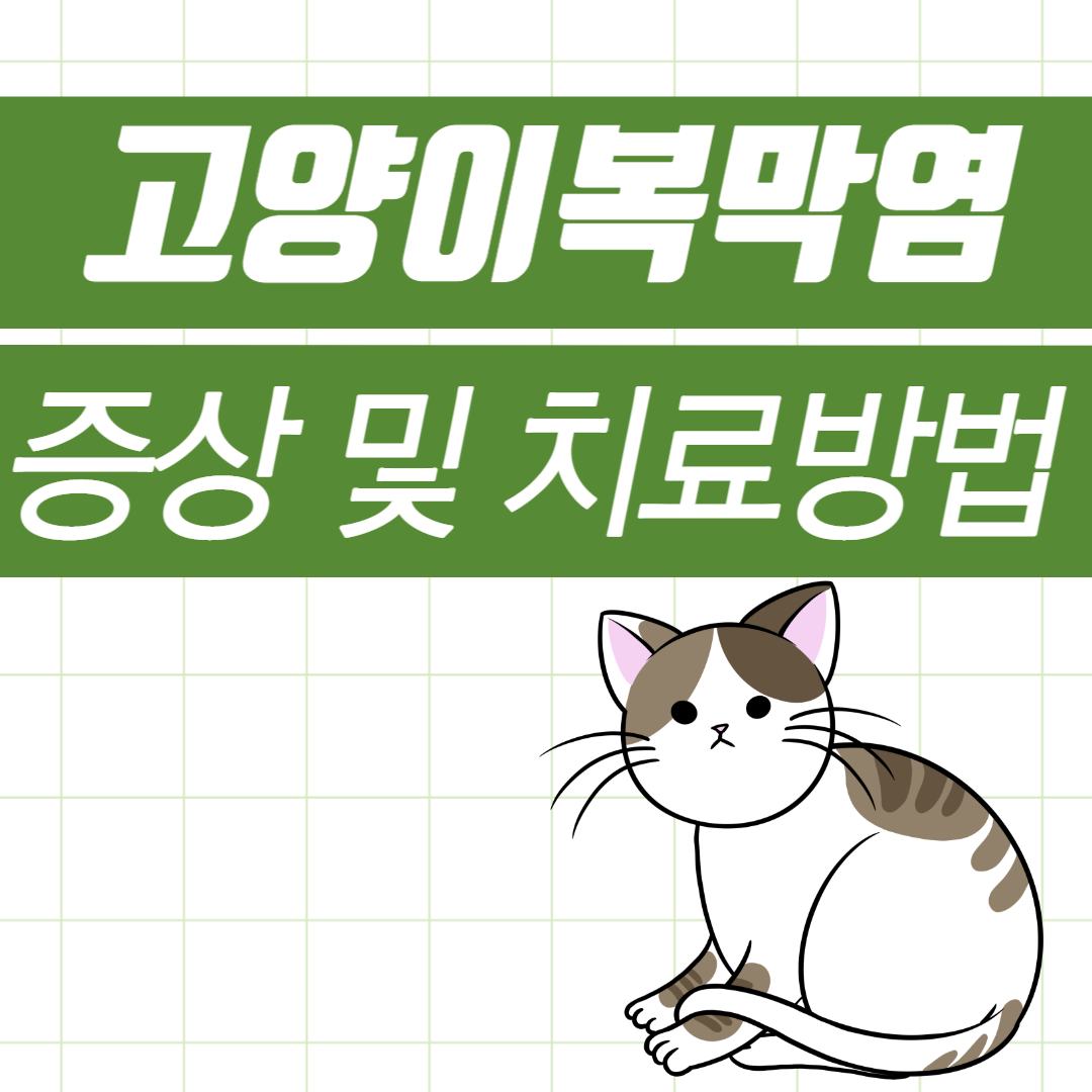 고양이 복막염 증상 및 진단방법 치료방법