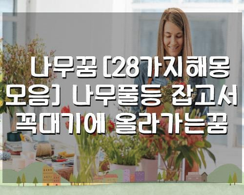 나무꿈 28가지해몽모음 나무풀등 잡고서 꼭대기에 올라가는꿈