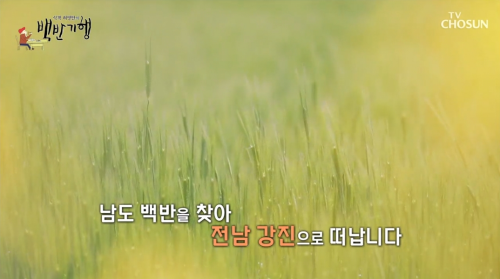 식객 허영만의 백반기행 1화 전라남도 강진 음식점 정보 백반 팥칼국수 팥죽 머리고기 메추리구이