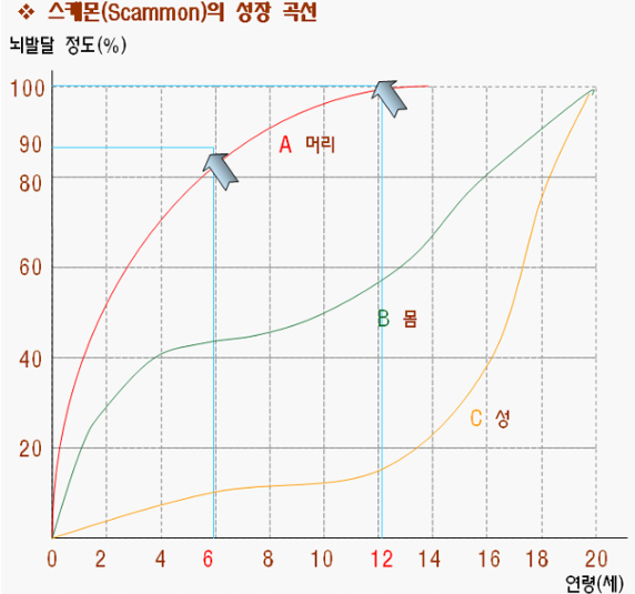 연령별 두뇌발달: 영유아기