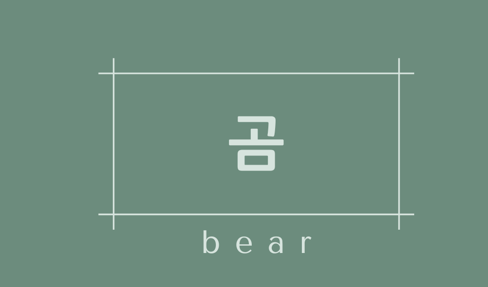 곰bear특징서식지종류천적수명몸무게꿈해몽