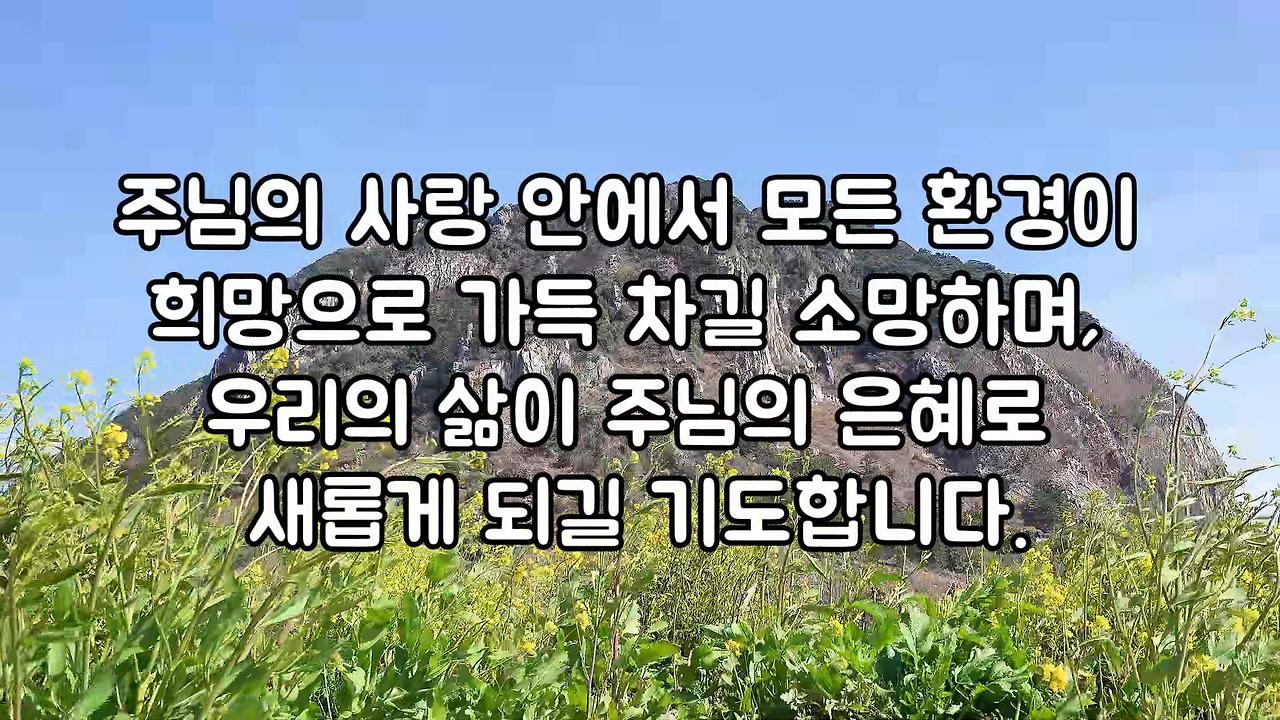 2025년 3월 첫째 주일 예배 대표 기도문 31절과 나라와 교회를 위한 대표 기도문 3월 은혜와 감사로 드리는 대표 기도문 주와 같이 길 가는 것