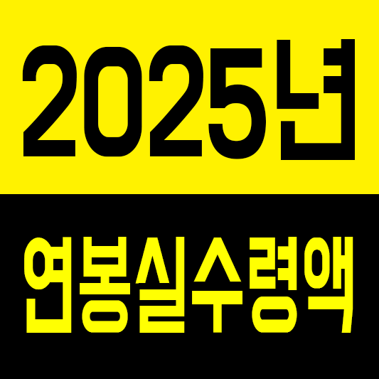 2025년 연봉 실수령액 최저임금시급