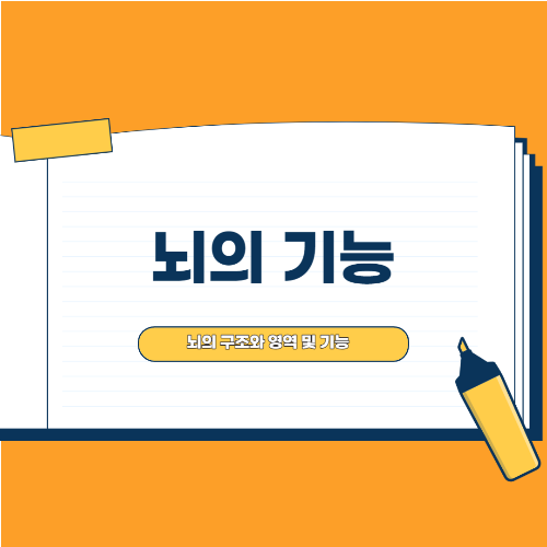 의료 지식 인간의 뇌 영역과 뇌의 기능