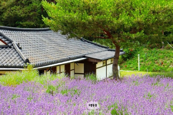 고창 가볼만한곳 베스트 10