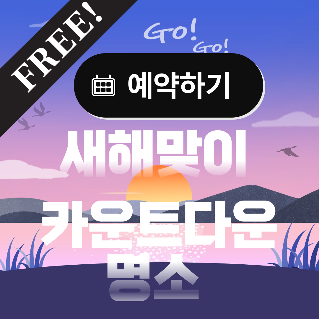 전국 카운트다운 명소 모음집