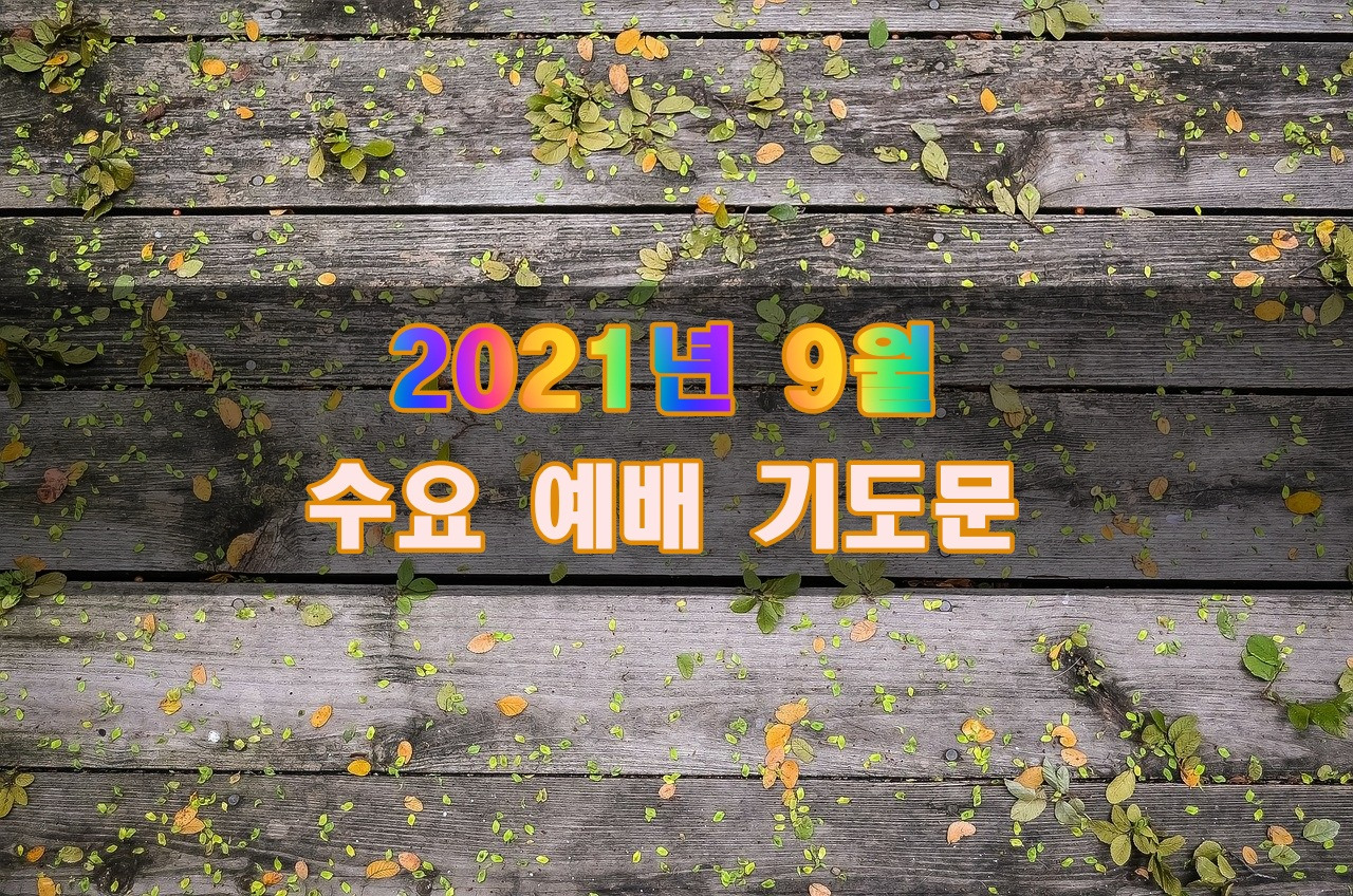 대표기도문수요기도문 카테고리의 글 목록 7 Page 주해와 묵상