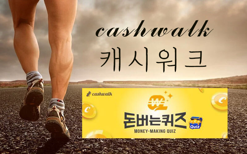 【캐시워크 돈버는퀴즈】12월21일 정답 ★ 소휘 스테디자임효소
