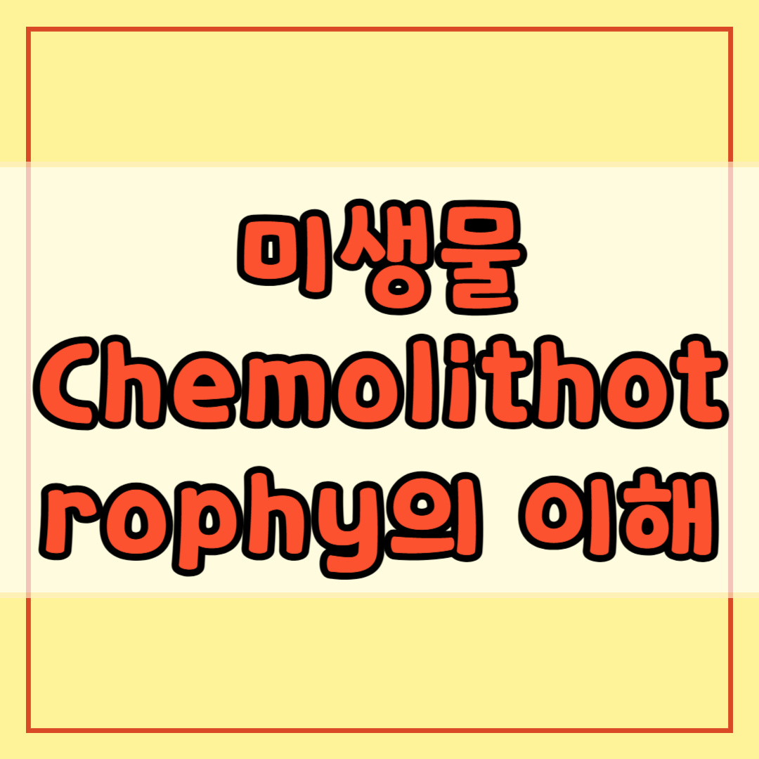 미생물 Chemolithotrophy의 이해